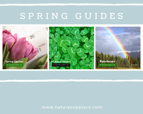 Let's Ring In Spring + FREEBIE - Nature Supply Co