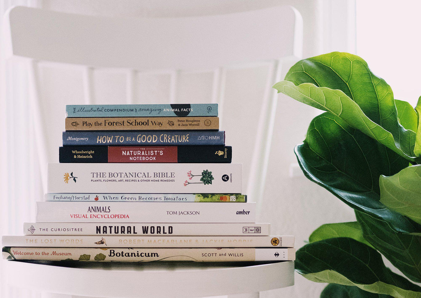 Our Favorite Nature Book Roundup! - Nature Supply Co