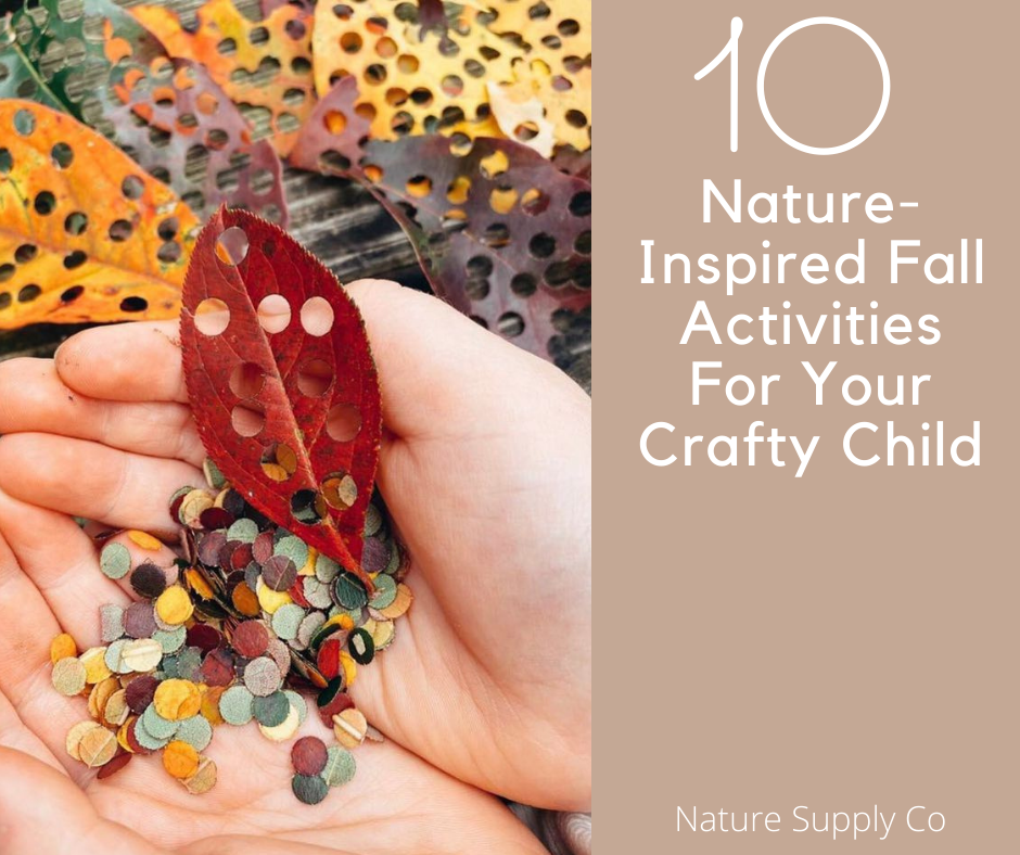 10 Nature-Inspired Fall Activities For Your Crafty Child - Nature Supply Co