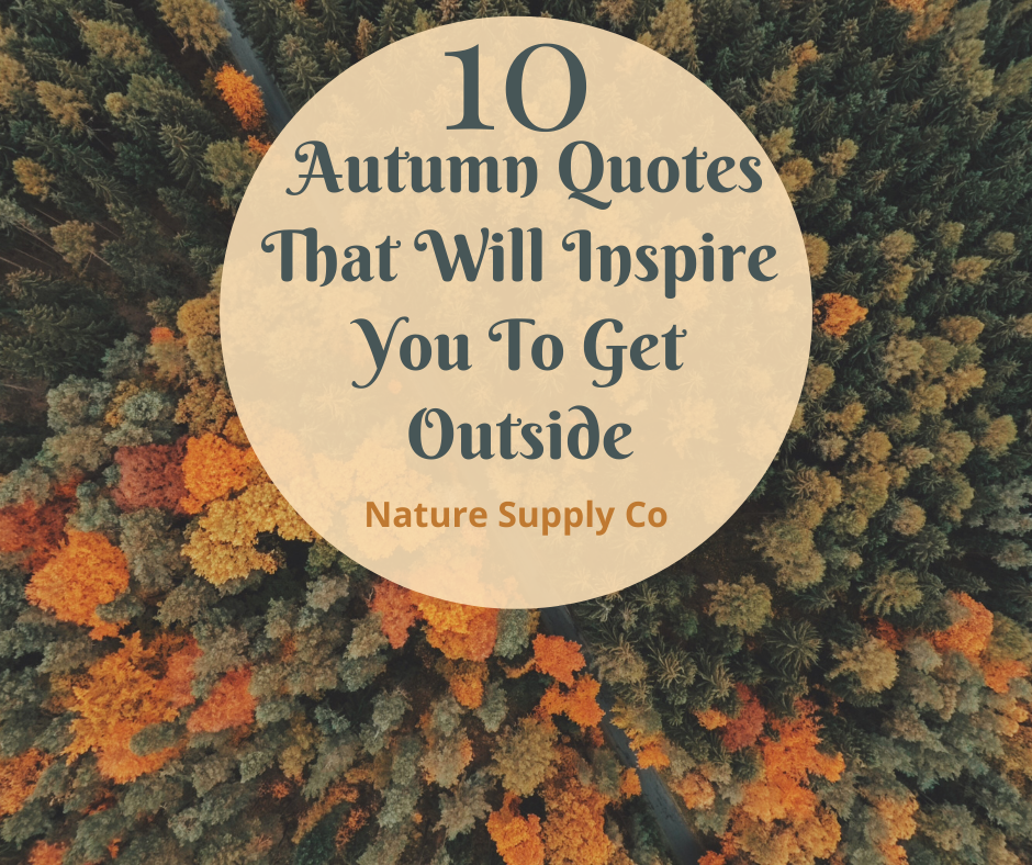 10 Autumn Quotes That Will Inspire You To Get Outside - Nature Supply Co