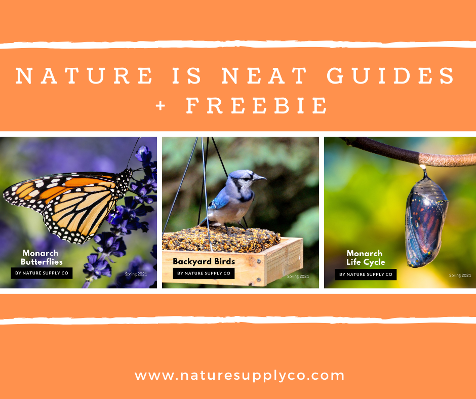 Birds, Butterflies, Freebies - Oh My! - Nature Supply Co
